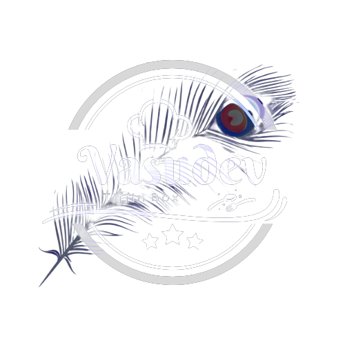 Vasudev Tiffin Box | Homemade North Indian Meals Near Tin Factory ...